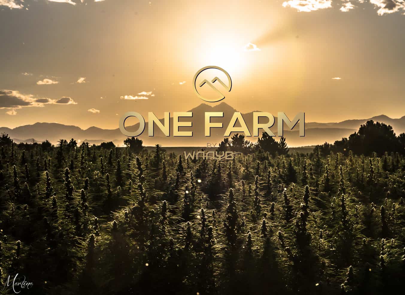 EXPLORE | One Farm | Boulder County, CO